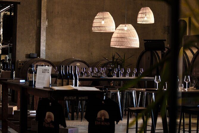 First Class Lunch and Margaret River Wine Tour - What We Love About This Tour
