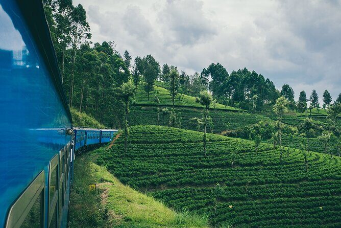 First Class Scenic Train Ticket From Kandy To Ella - The Practical Side: Booking and Logistics