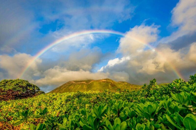 First Day Must 10-Hour Sunrise & Full Island Photo Tour - The Sunrise from Honolulu