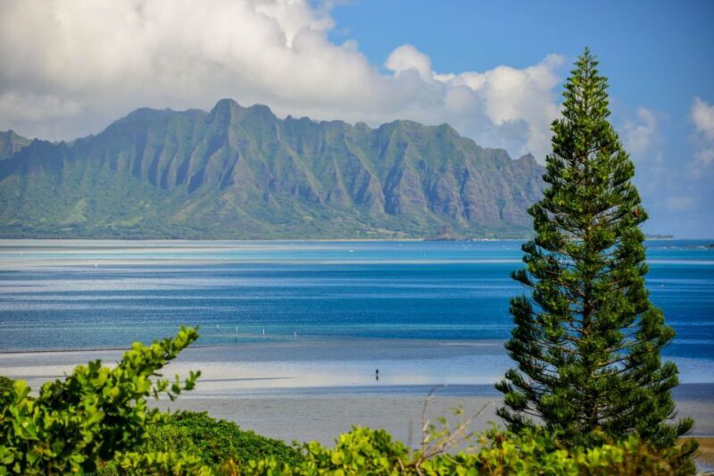 First Day Must 10-Hour Sunrise & Full Island Photo Tour - Who Will Love This Tour?