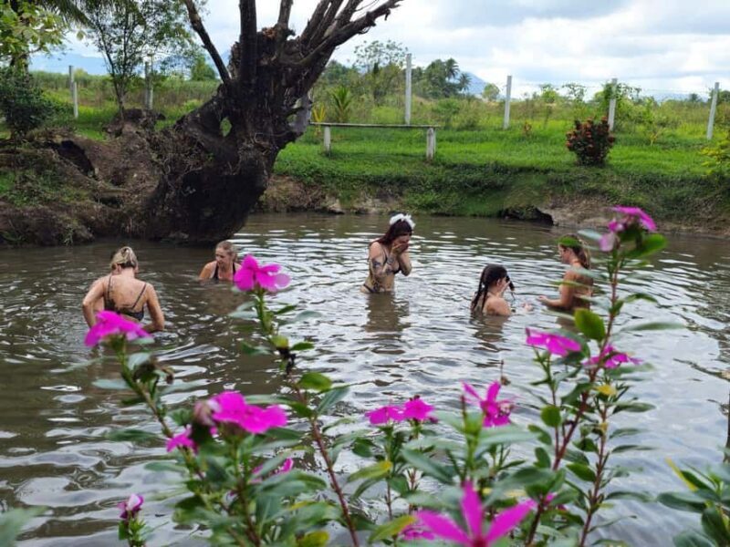 First Landing Village & Hot Springs Mud Pool Tour - Comparing Similar Experiences