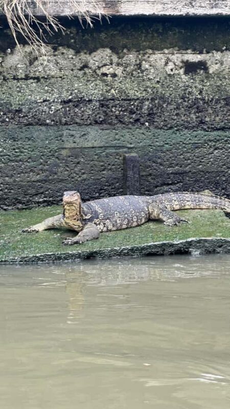 First Time in Bangkok? - Authentic Thai Lunch and Local Transport