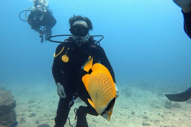 First Time Introductory Scuba Dive - Final Thoughts