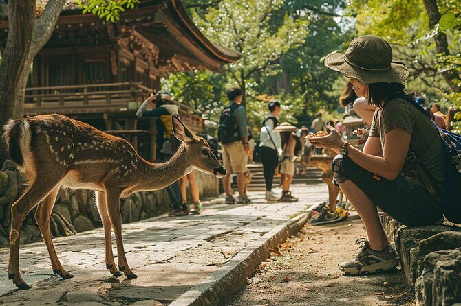 First Time Nara Tour UNESCO Sites with Lunch and Autumn foliage - Who Will Love This Tour?