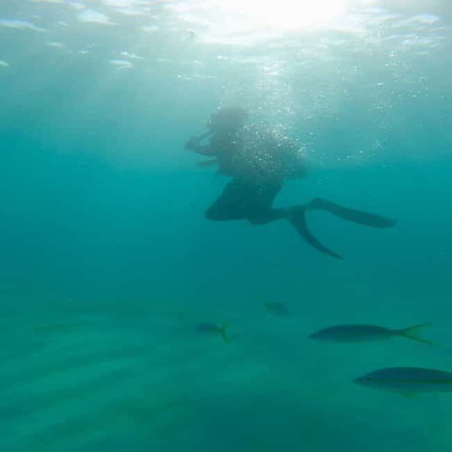 First Time Scuba Diving Experience in Punta Cana - The Sum Up