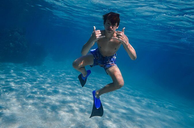First Timers and Non-Swimmers Snorkeling Experience in Wailea - The experience itself: what might you see?