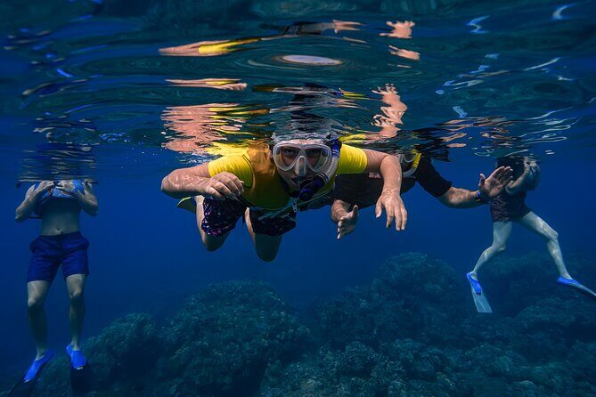 First Timers and Non-Swimmers Snorkeling Experience in Wailea - The meeting point and check-in process