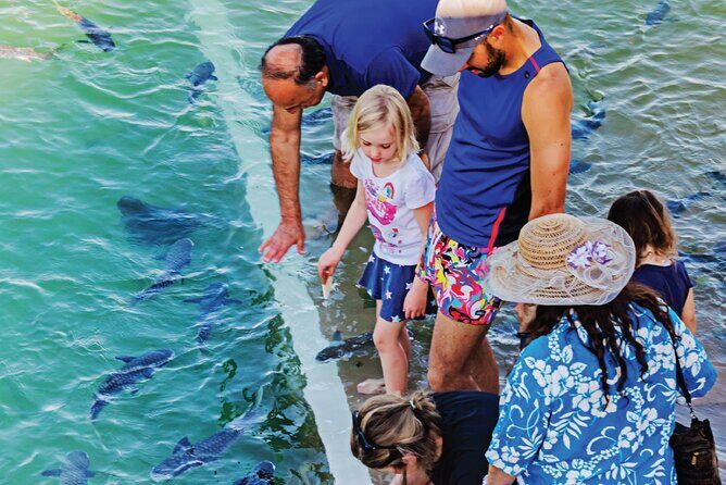 Fish Feeding Activity in Darwin - What’s on Offer: A Close Encounter with Darwin’s Aquatic Wildlife