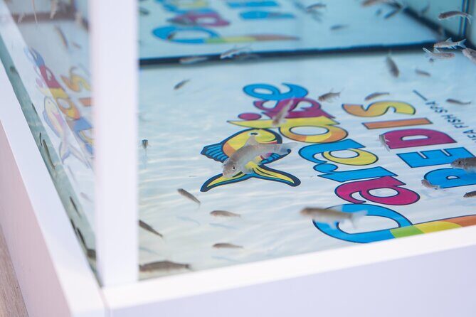 Fish, Fun & Feet  Caribbeans Largest Fish Spa Experience! - The Sum Up