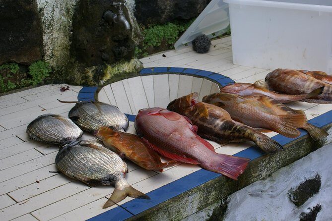 Fish In the Azores - Who Should Consider This Tour?