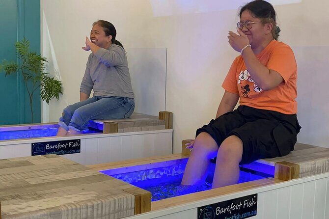 Fish Spa  10 Minute Session in Surfers Paradise! - What Is a Fish Spa?