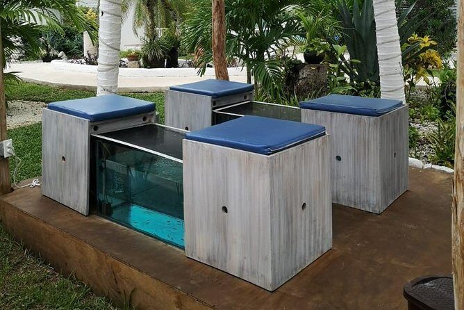 Fish Spa, Beach Break with Lounge Chairs, Umbrellas & Beach Area - A Closer Look at the Experience