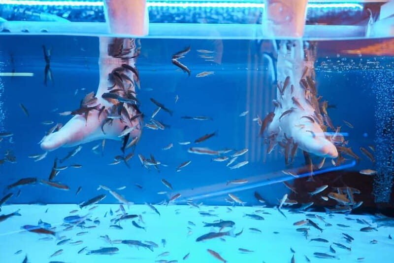 Fish Spa Experience - What is the Fish Spa Experience?