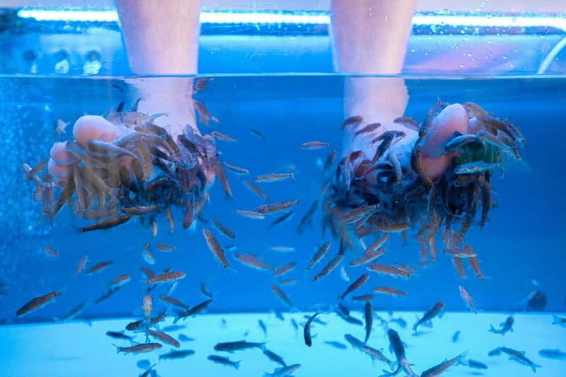 Fish Spa Experience - Why Travelers Love the Fish Spa