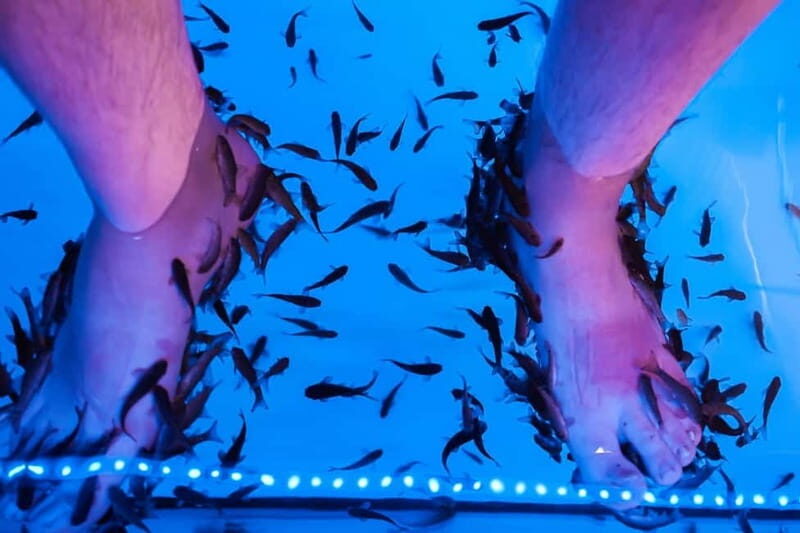 Fish Spa Experience - What Makes This Experience Stand Out