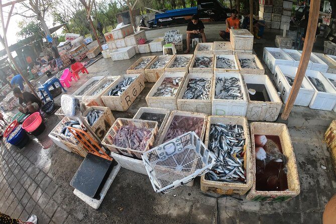 Fish & Traditional Market Package Visit - In-Depth Look at the Tour Experience