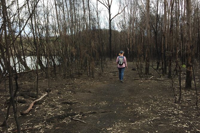 Fishermans Paradise Eco-walk - Final Thoughts
