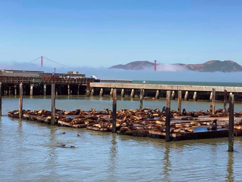 Fishermans Wharf Highlights Tour + Golden Gate Bay Voyage - Key Points