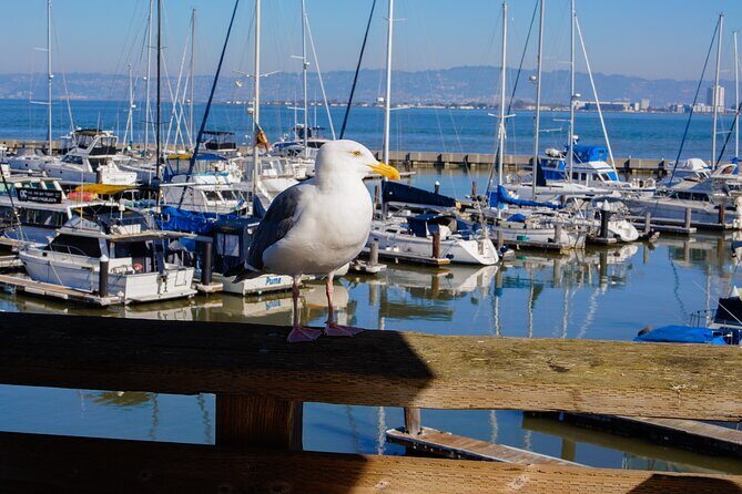 Fishermans Wharf & Pier 39 Food Tour - Includes Full Meal, 3 hrs - Practical Details and Considerations