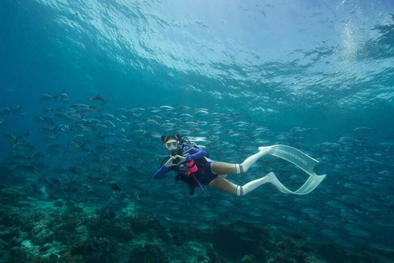 Fisheye Divers: Advanced Open Water Course - What Makes This Course Stand Out?