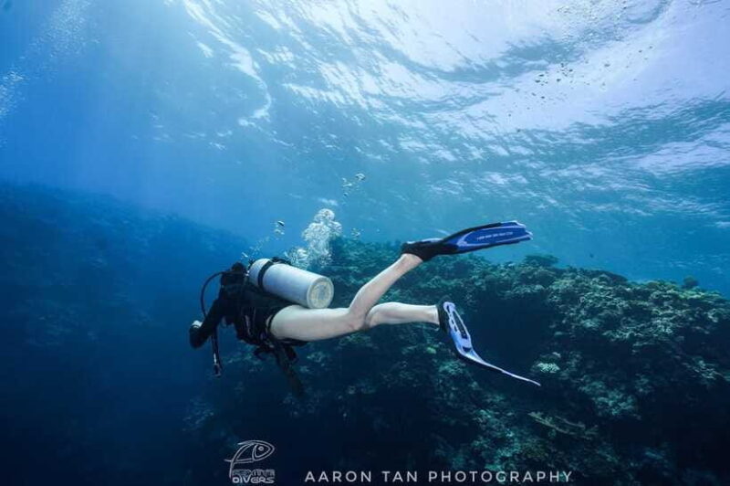 Fisheye Divers: Discover Scuba Diving - FAQ