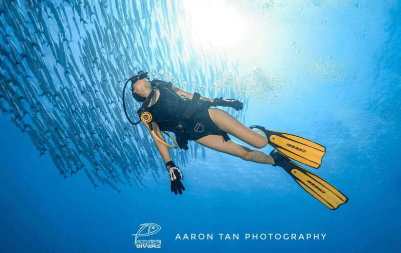 Fisheye Divers: PADI Open Water Course - The Learning Experience and Certification