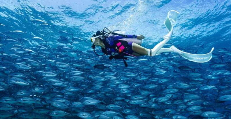 Fisheye Divers: PADI Open Water Course - Practical Details and Tips