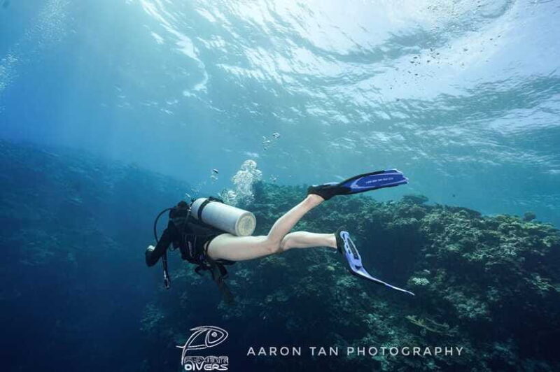 Fisheye Divers: PADI Open Water Course - Authentic Traveler Feedback