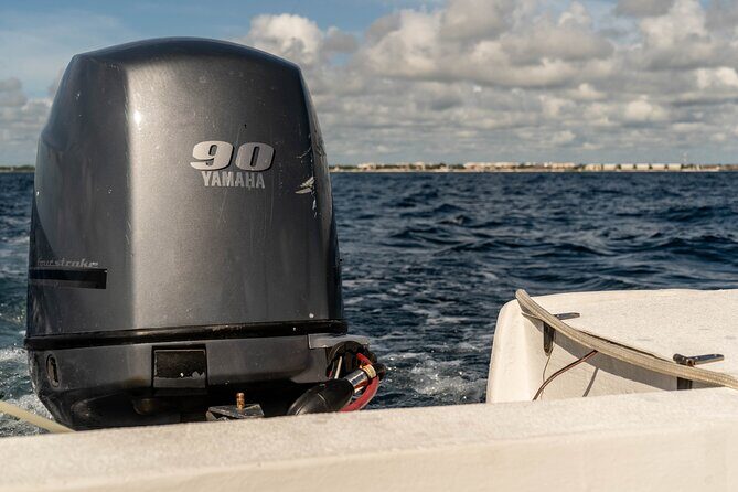 Fishing Adventure in Puerto Morelos with 26-foot Boat - Authenticity and Value