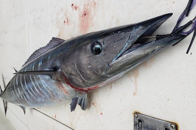 Fishing Charter 4 hours - Who Will Appreciate This Tour?