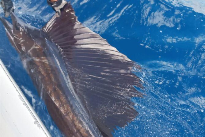 Fishing Charter 8 Hours - The Itinerary: What to Expect from Your Bonaire Fishing Day