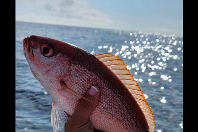 Fishing Charters in Mount Pleasant - The Sum Up