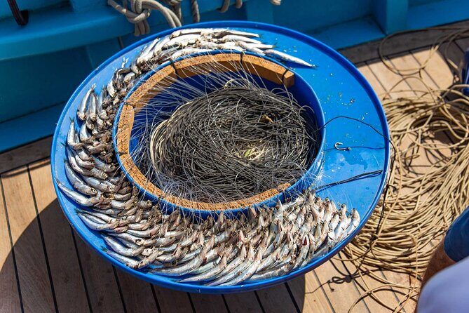Fishing Experience Around Capri from Sorrento with Lunch Onboard - A Closer Look at the Itinerary and What It Means for You