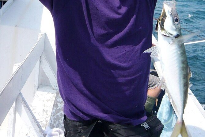 Fishing Experience with No Equipment Needed in Izumisano, Osaka - Real Traveler Insights