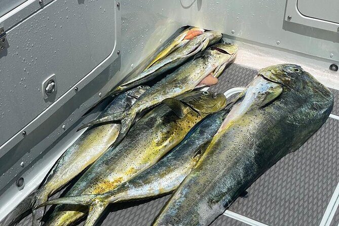 Fishing in Style - The Value Aspect