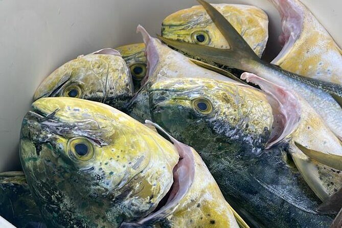 Fishing in Style - Who Should Book This Tour?