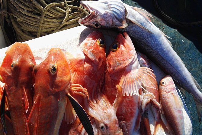 Fishing in the Bay of Sorrento and Capri - The Value of This Tour