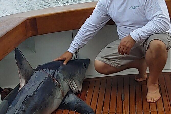 Fishing or Cruising Boston Harbor on Private Yacht Trinacria - Authentic Experiences and Positive Feedback