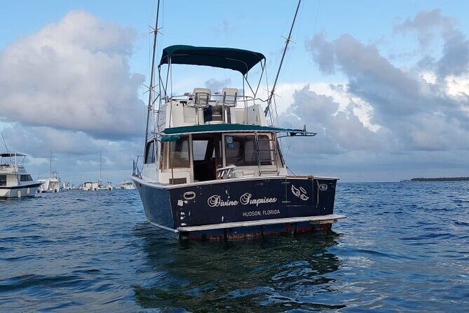 FISHING PRO CHARTERS - Boat Excursion - Divina - The Value for Money
