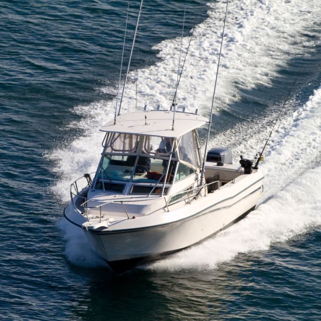 Fishing Tour in Capri from Sorrento with lunch on board - Who Is This Tour Best For?
