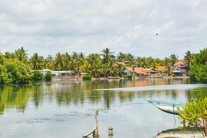 Fishing Village & Mangrove Tour Experince at Negombo (Starting from Colombo) - Transportation, Timing, and Practicalities