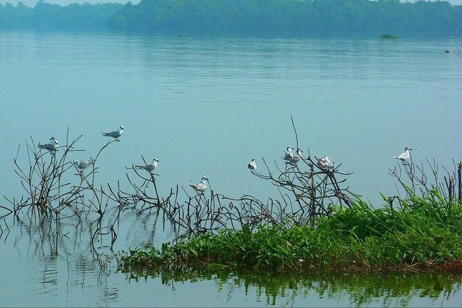 Fishing Village & Mangrove Tour Experince at Negombo (Starting from Colombo) - The Sum Up