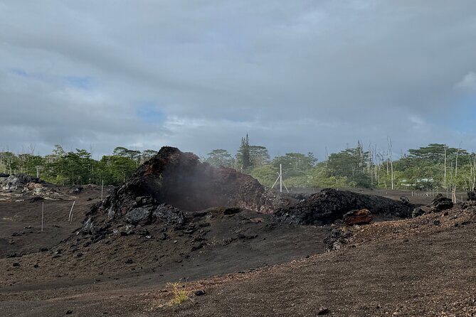 Fissure 8 Tour - Volcanoes National Park and Hilo Discovery - What Makes This Tour Special