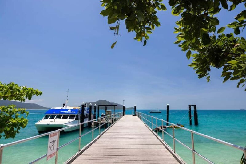 Fitzroy Island: Full-Day Ferry & Snorkel Safari Guided Tour - The Itinerary: What to Expect from Dawn to Dusk
