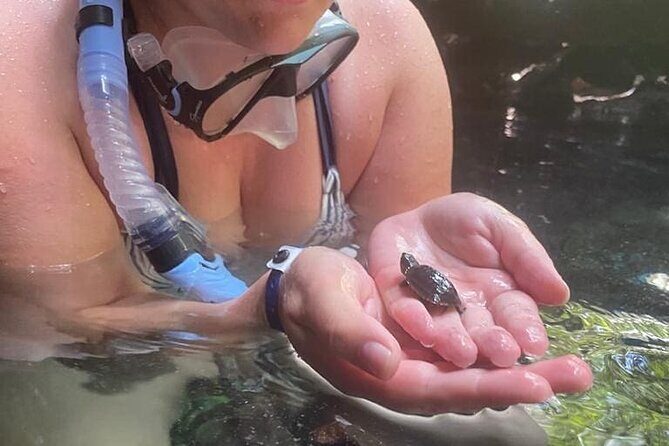 Five Cenotes Jungle Experience in the Riviera Maya - Discovering the Hidden Cenotes of Riviera Maya