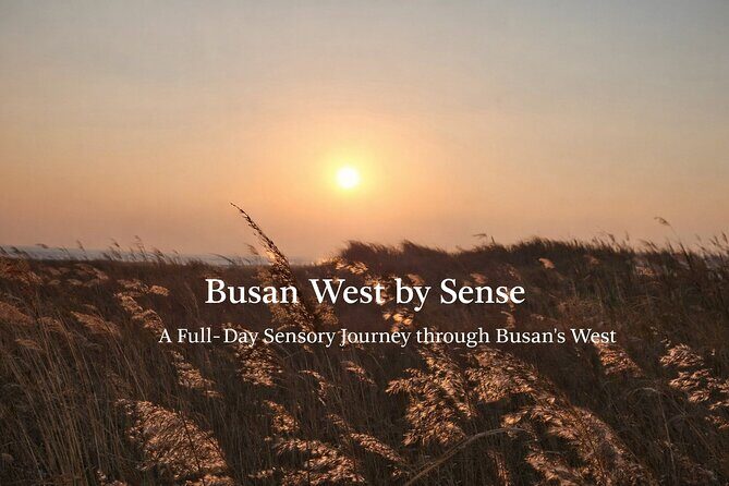 Five Senses Journey in Busan Full Day - Key Points