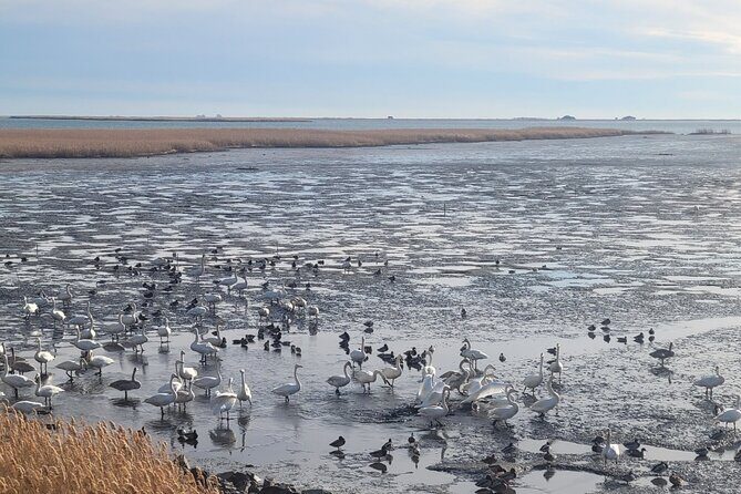 Five Senses Journey in Busan Full Day - Final Thoughts