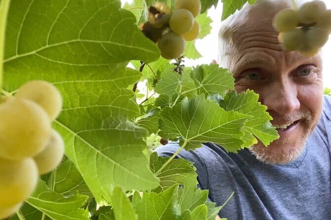 Five Star AZ Wine Crawler Tour 4- 12 PPL - Is This Tour the Right Fit for You?