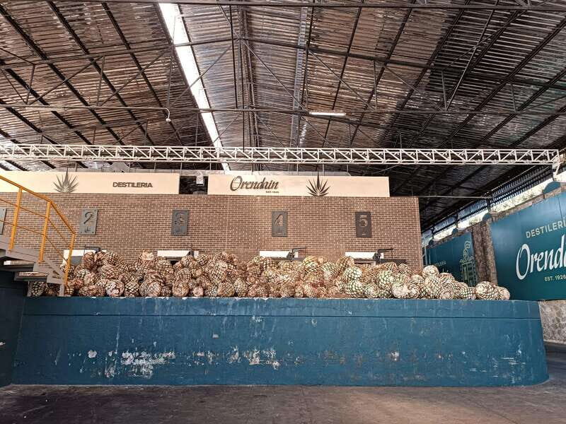 Five-star factory: Meet Orendain tequila. - What You’ll Taste and Experience