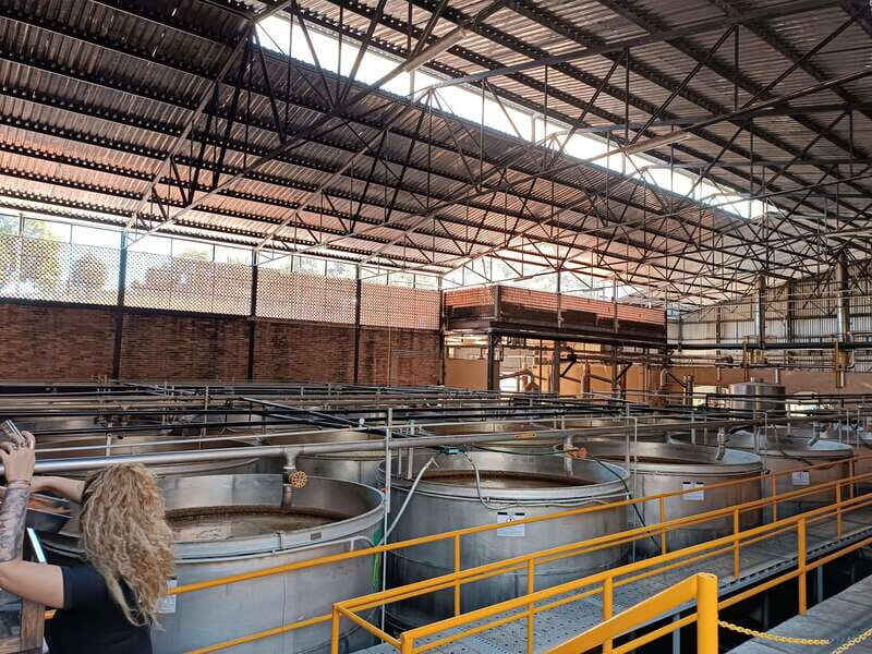 Five-star factory: Meet Orendain tequila. - FAQs